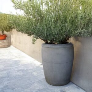 16 Drought Tolerant Landscape Design Ideas