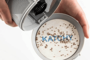 How To Clean Katchy Dust: The Ultimate Guide
